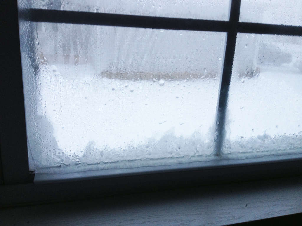 Why There is Ice on the Inside of Windows (& What to Do) | Apartment ...