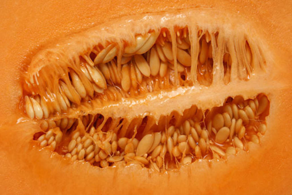 Fear of Cantaloupes, Crumpets & More: Is Trypophobia for Real? | Kitchn