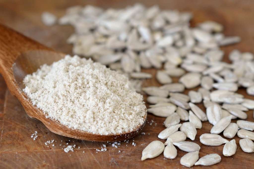 Sun-Flour: Make Your Own Gluten-Free Sunflower Seed Flour | Kitchn