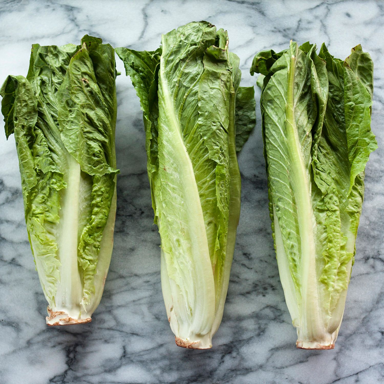 What's That White Sap in Romaine Lettuce? | Kitchn