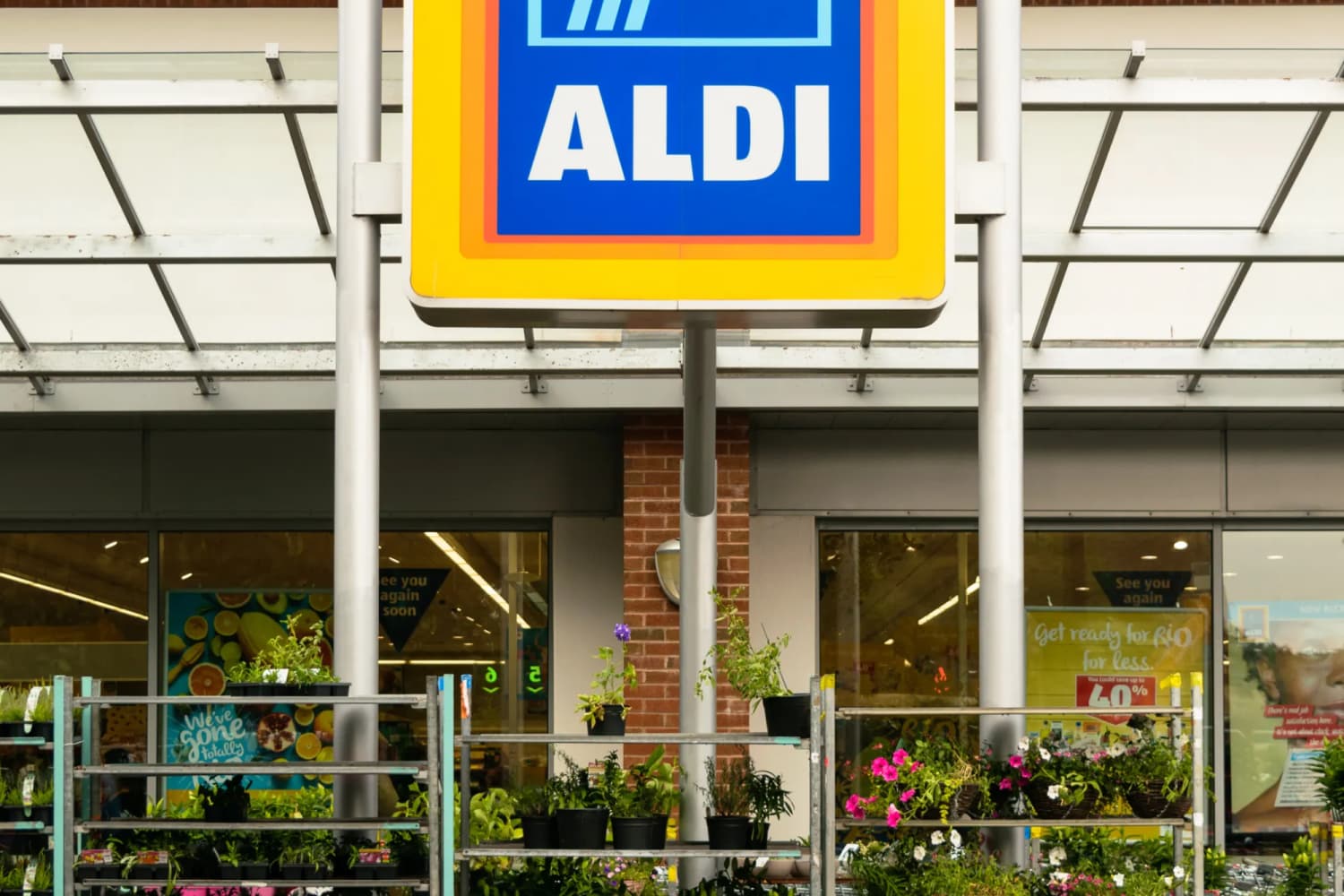 The $8 Aldi “Living Decor” That Comes with a Storage Gem | The Kitchn