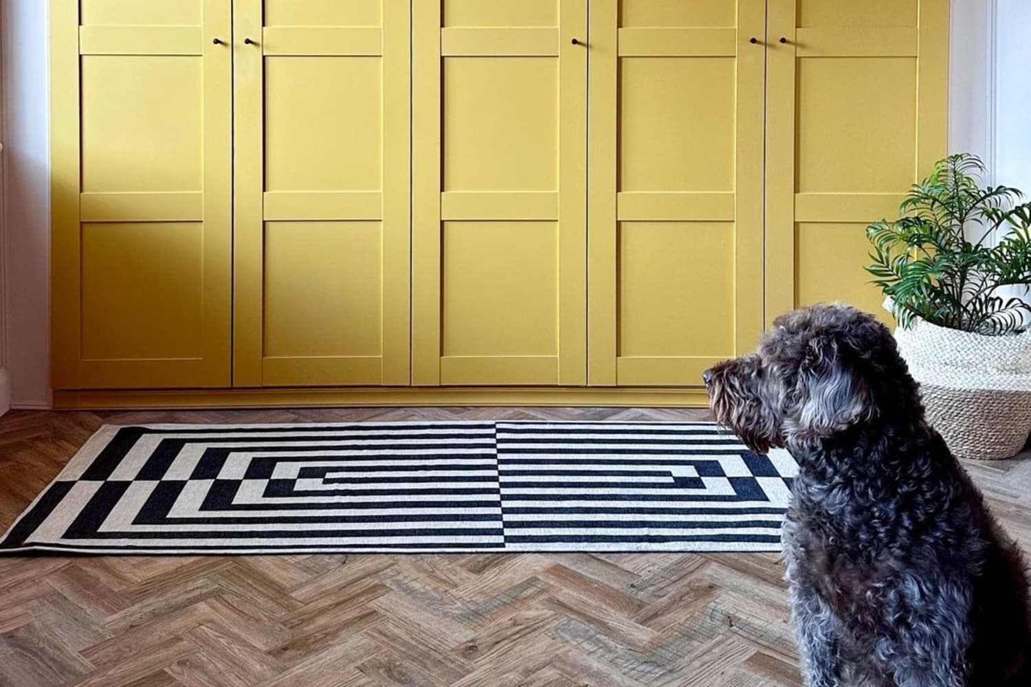 I Love This Two-Toned IKEA PAX Paint Job (It’s So Springy!) | Apartment ...