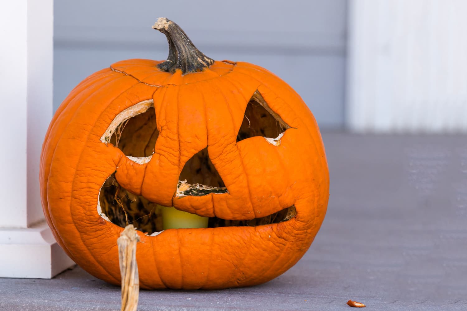 how to make your pumpkin not rot