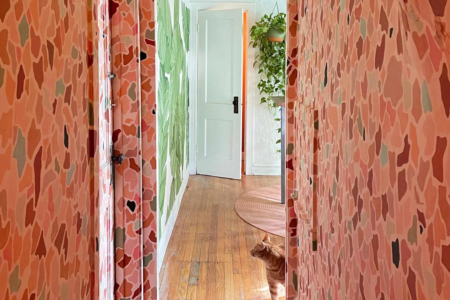 See Inside an Artist’s Dreamy Mural-Filled Chicago Apartment ...