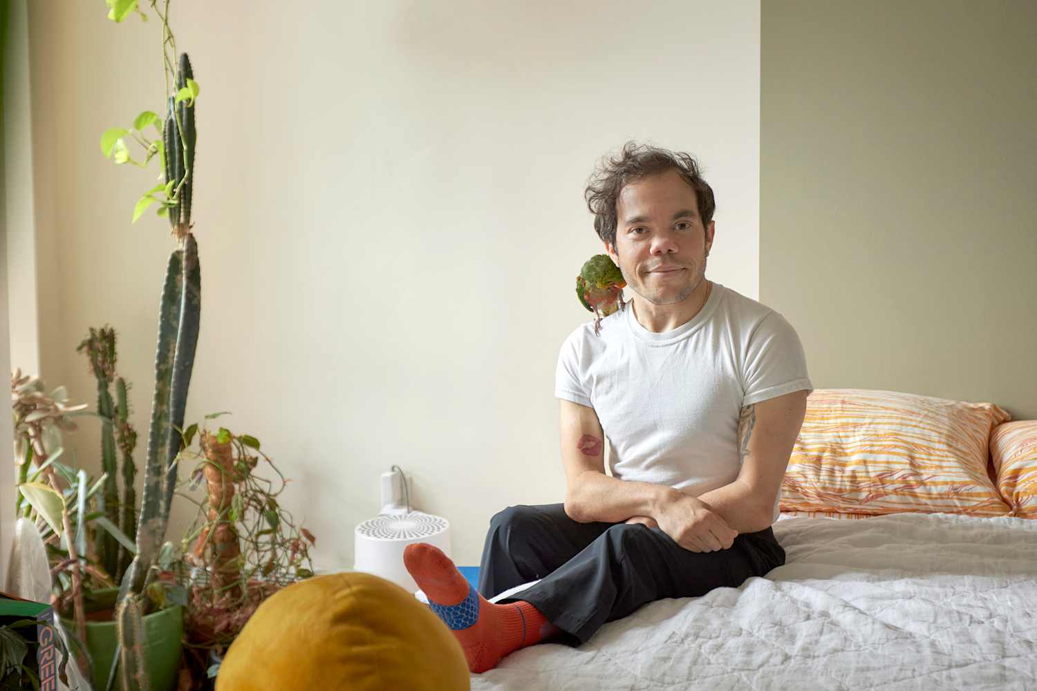 Tour Actor Matthew Jeffers’ 550-Square-Foot Brooklyn Studio | Apartment ...