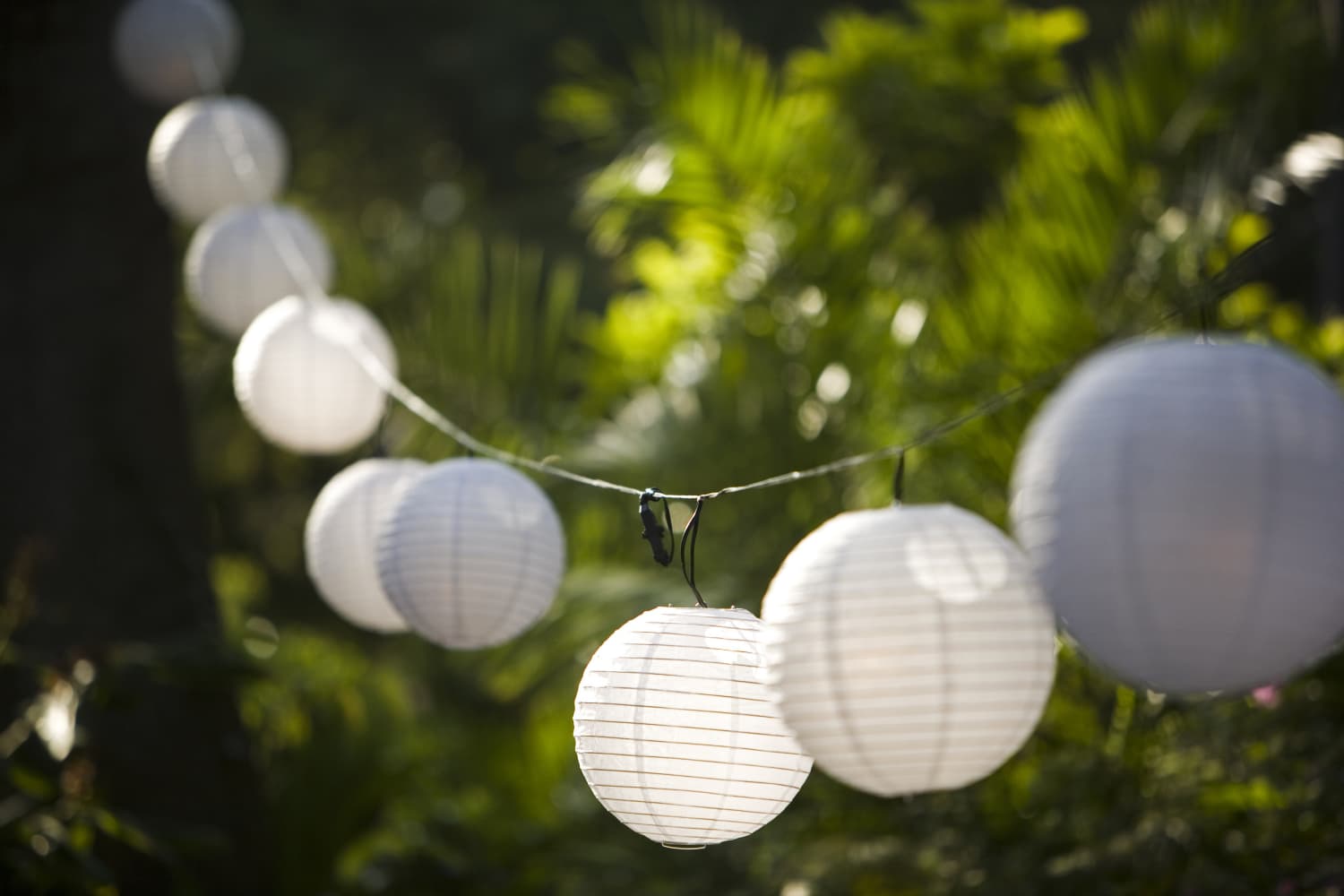 paper tree lanterns