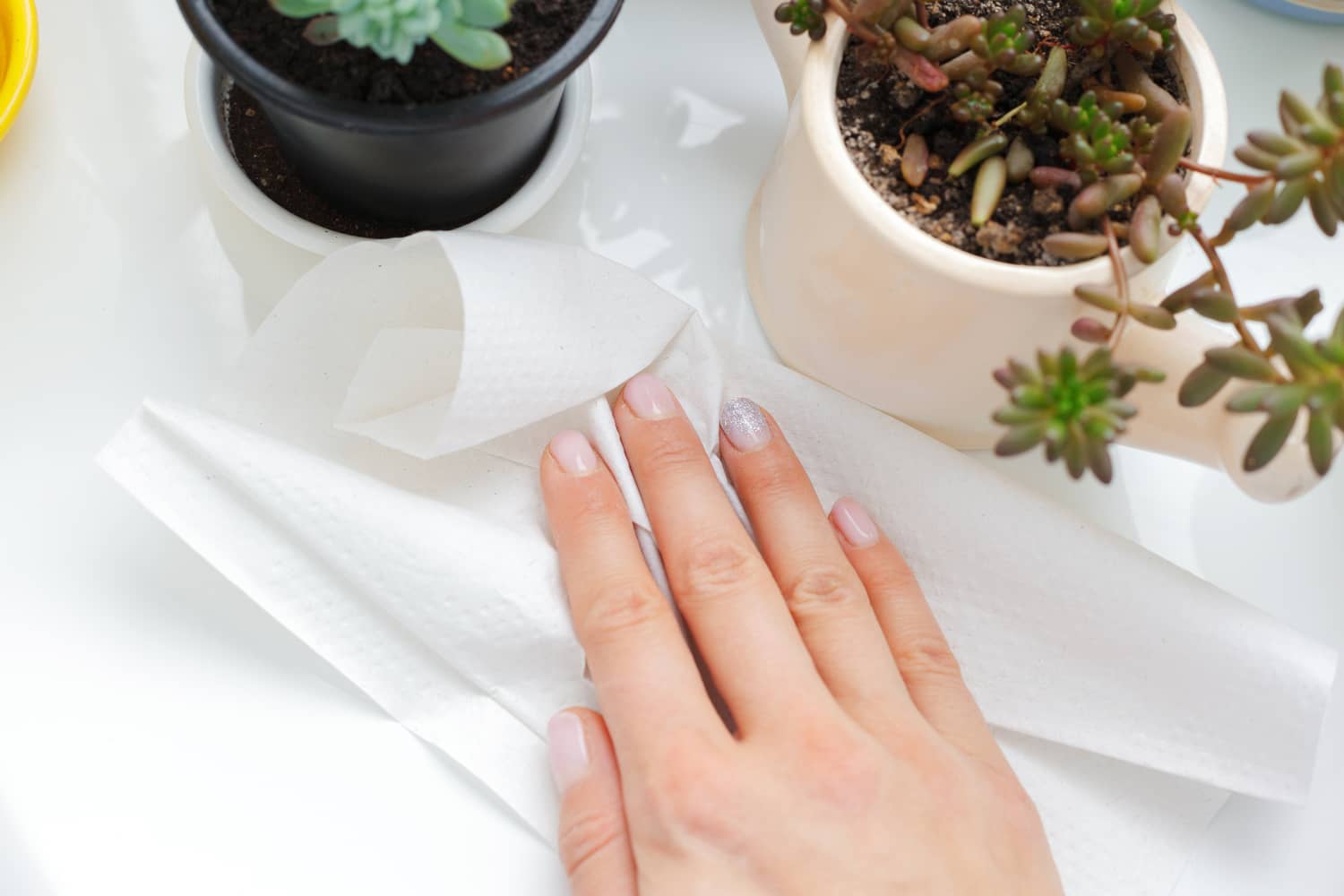 7 Things You Should Never Do With Paper Towels | Apartment Therapy