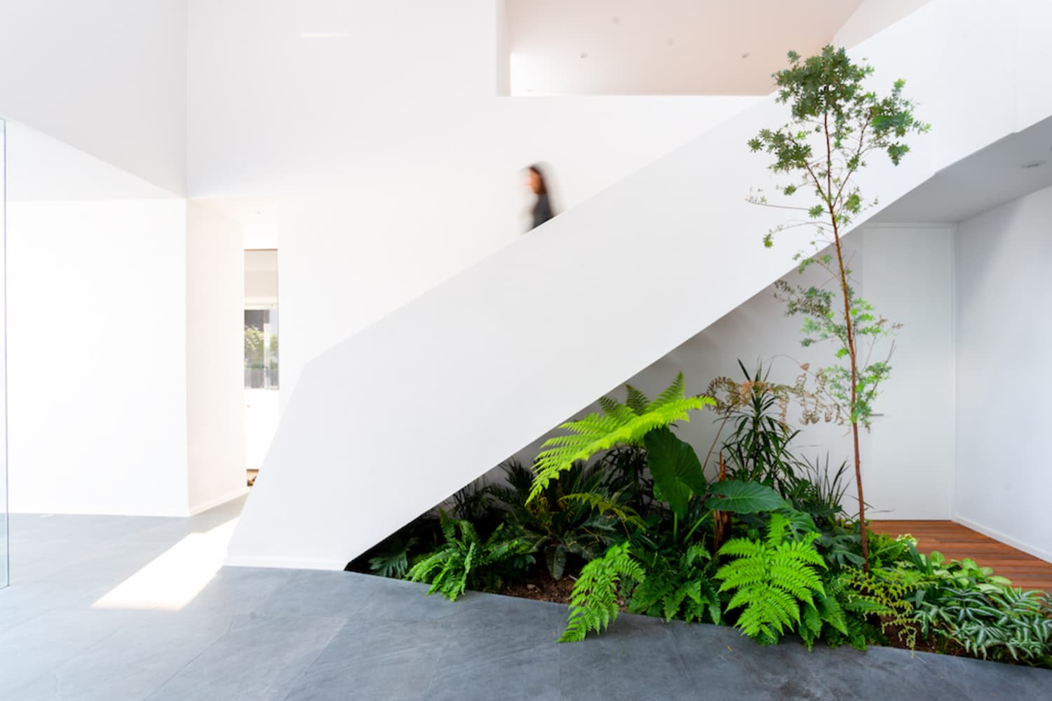 This Indoor Garden Makes Use Of Space Under The Stairs | Apartment Therapy