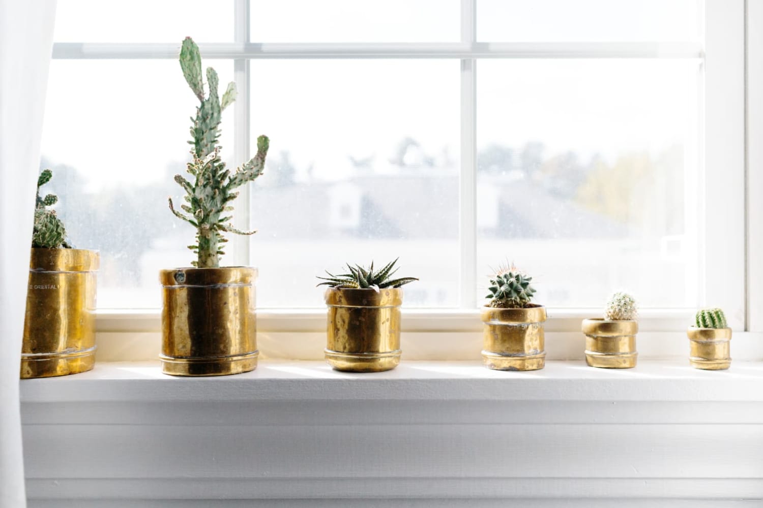 Stylish Windowsill Displays That'll Inspire More Than Just a Green ...