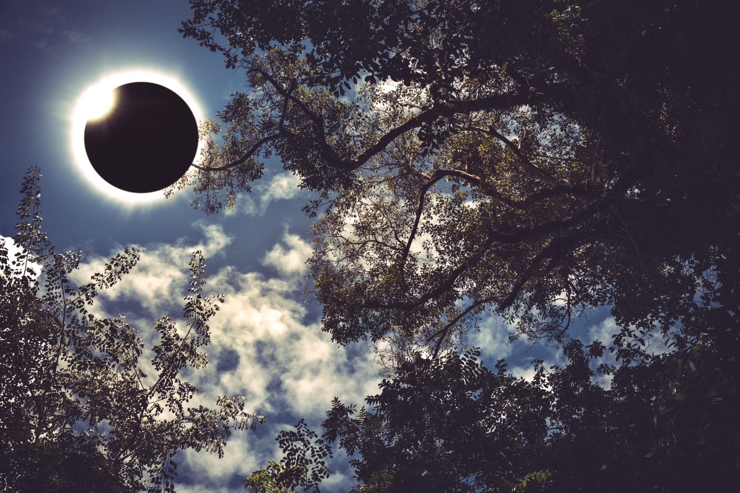 November Frost Moon Eclipse 2020 | Apartment Therapy