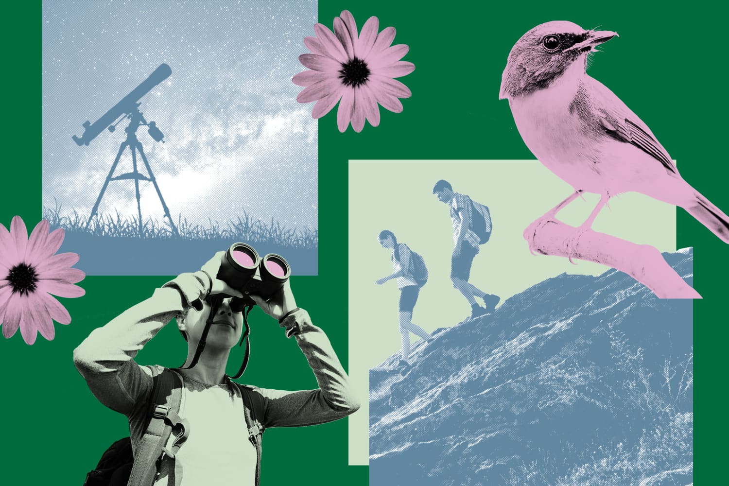 5 Best Outdoor Summer Hobbies For Beginners | Apartment Therapy