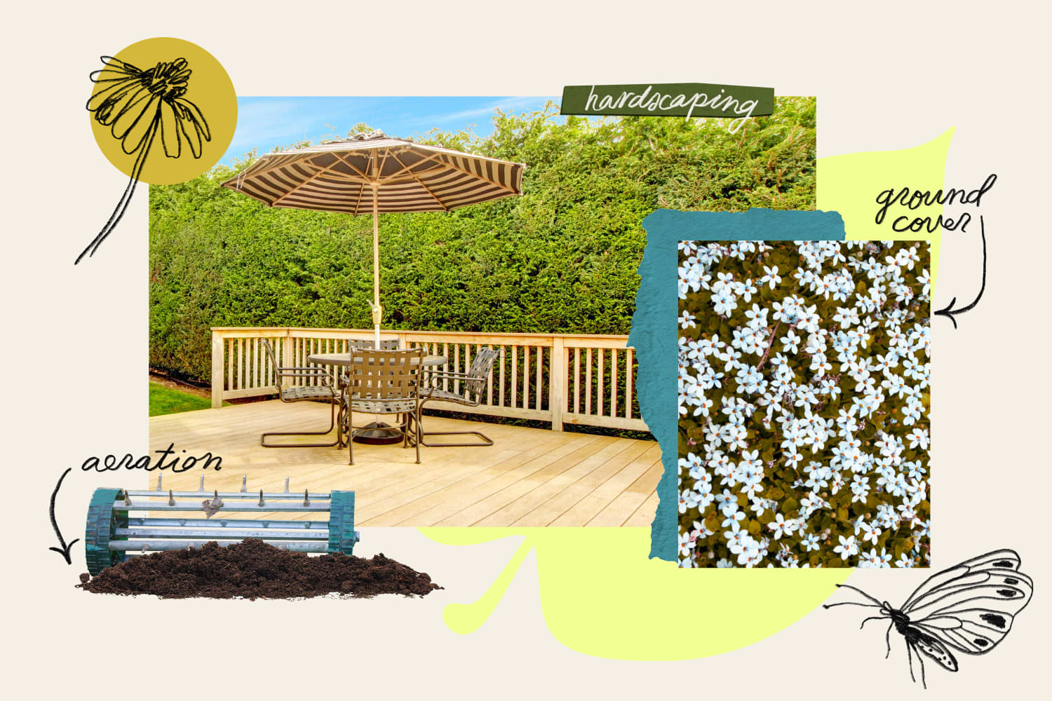 Lawn Terms Every Homeowner Should Know | Apartment Therapy