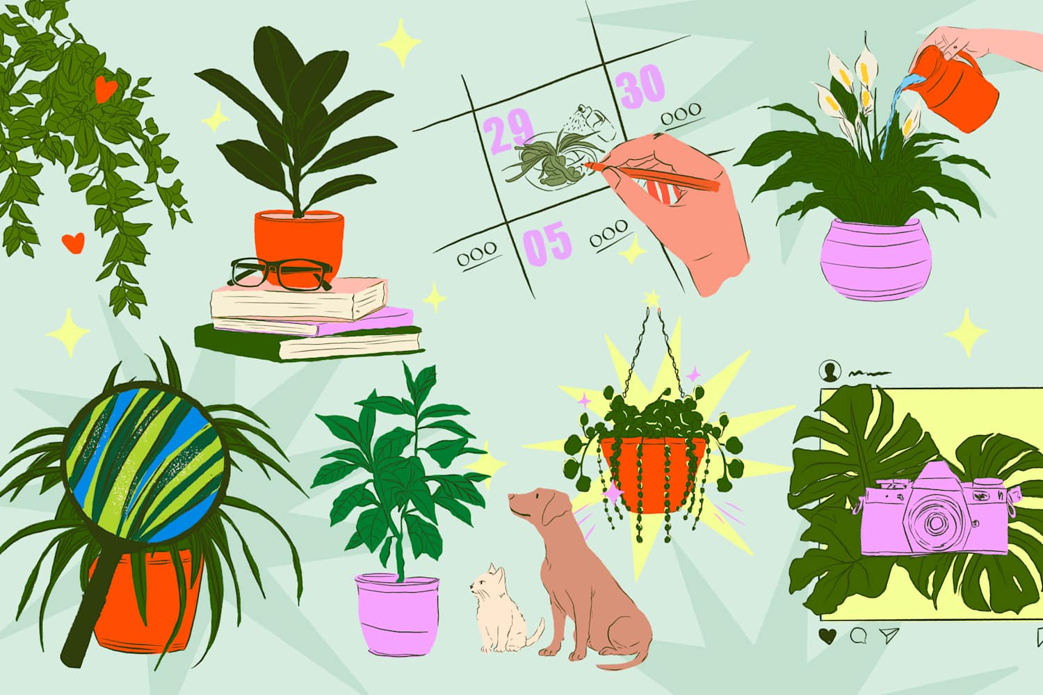 Your First Plant Personality, Based on Your Zodiac Sign | Apartment Therapy