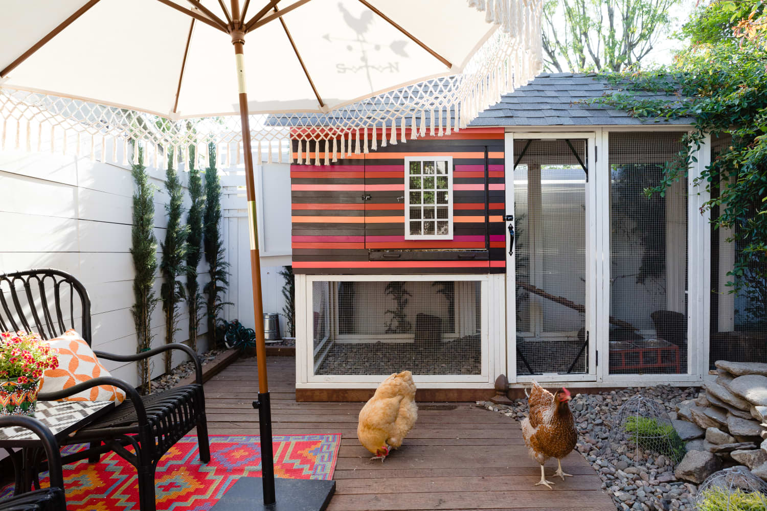 5 Beginner Tips for Raising Backyard Chickens | Apartment Therapy