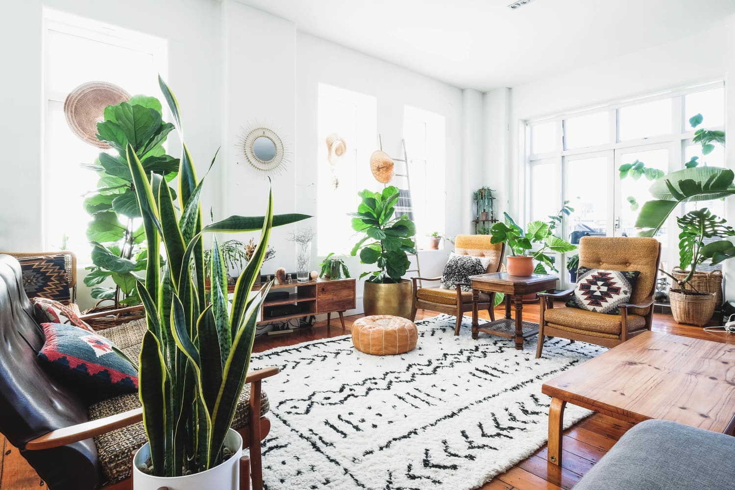 8 Plant Deals from The Home Depot’s Spring Black Friday 2026 ...