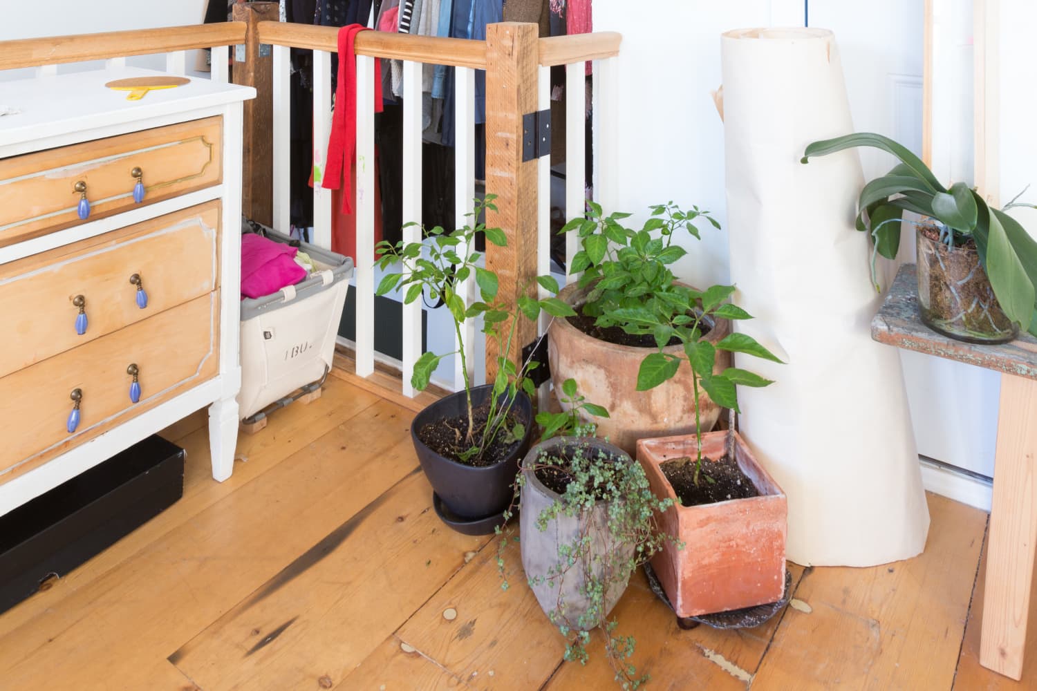 How to Store Winter Clothes Correctly: Everything to Know | Apartment ...