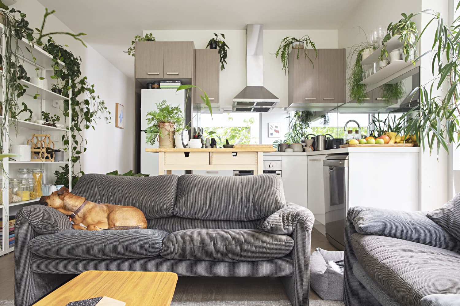 Boundaries in Small-Space Living — How to Live in a Small Space ...