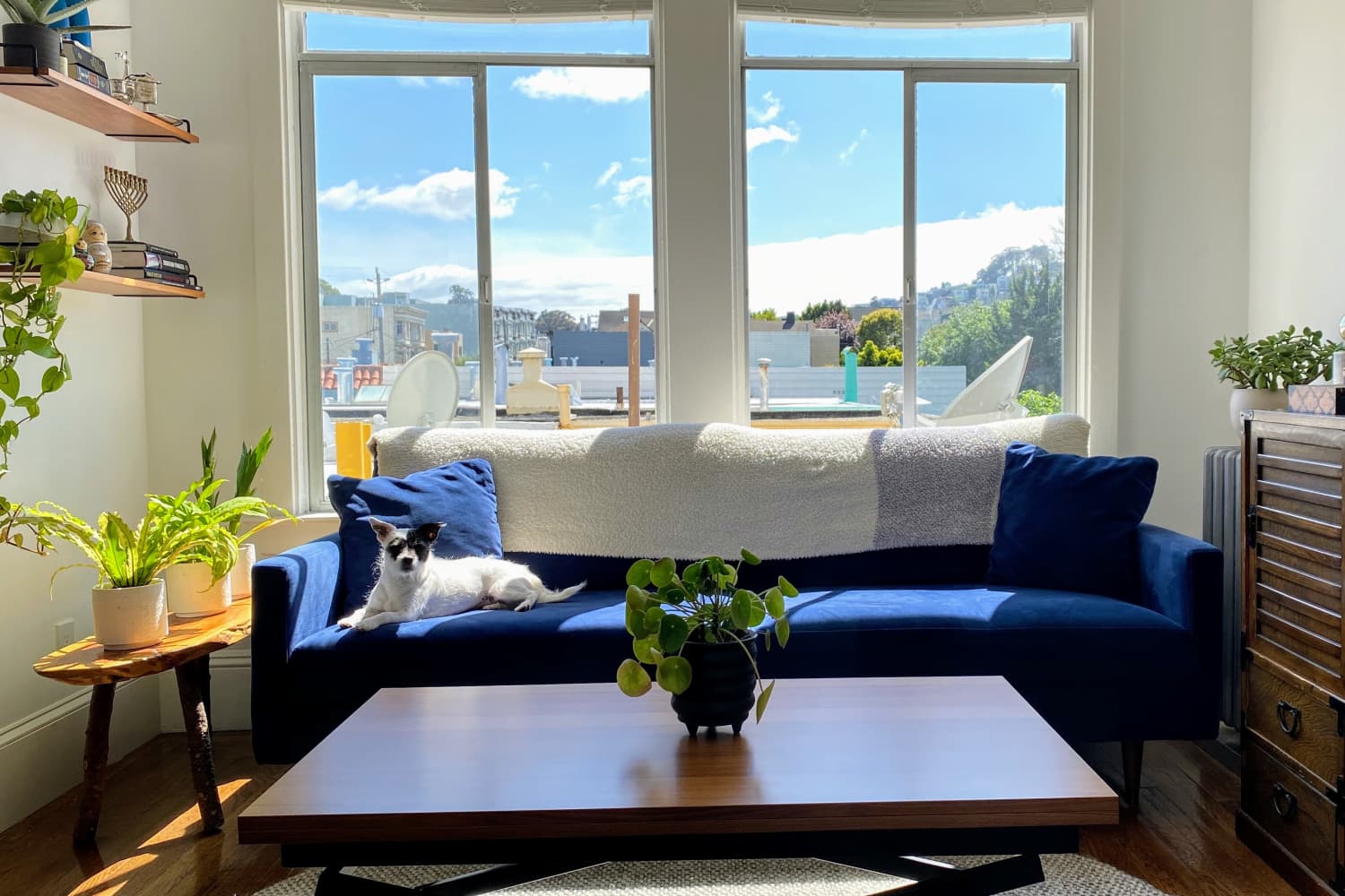 Small San Francisco Shared Apartment Photos | Apartment Therapy