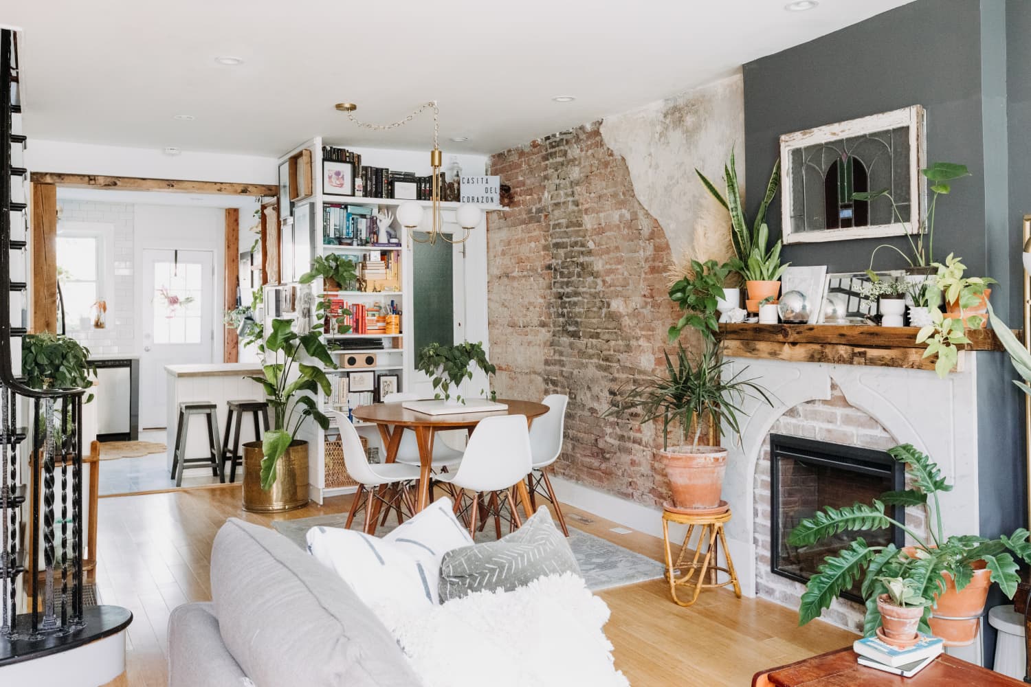 Dracaenas Are the “It” Plant of 2024, According to easyplant ...