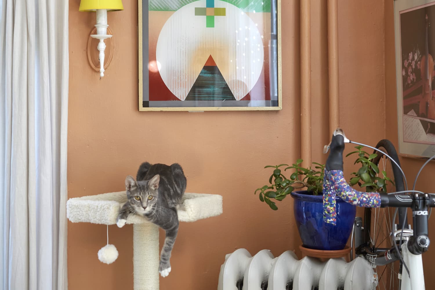 375-Square-Foot Brooklyn Studio Apartment Photos | Apartment Therapy