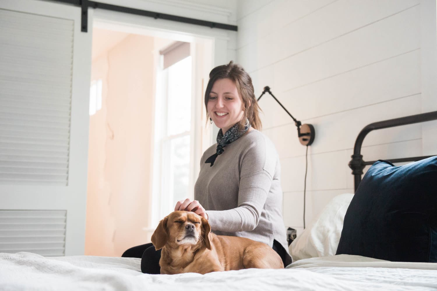 Bounce Pet Hair Dryer Sheets Review 2021 | Apartment Therapy