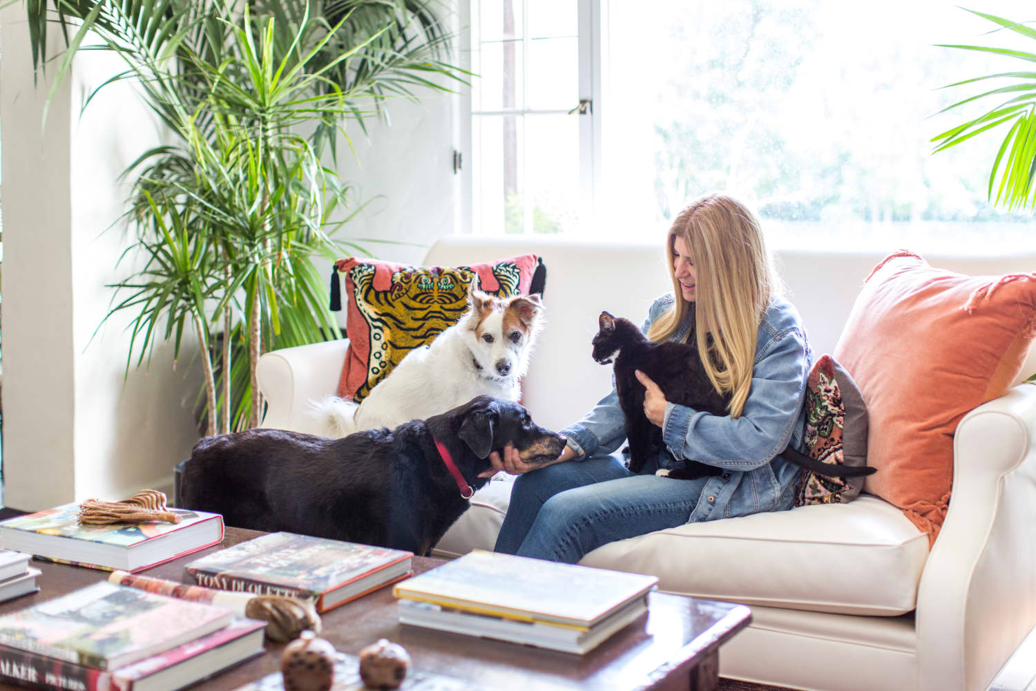 I Tried Fable's Magic Link Leash, and It's Made Walking My Dog So ...