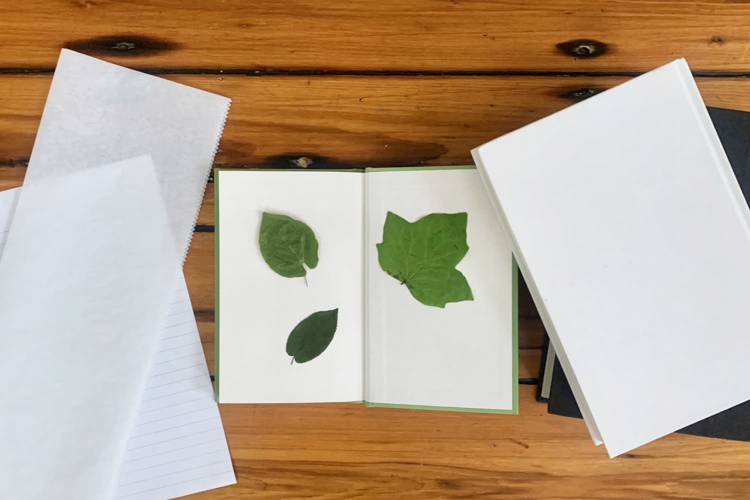How To Press Leaves | Apartment Therapy