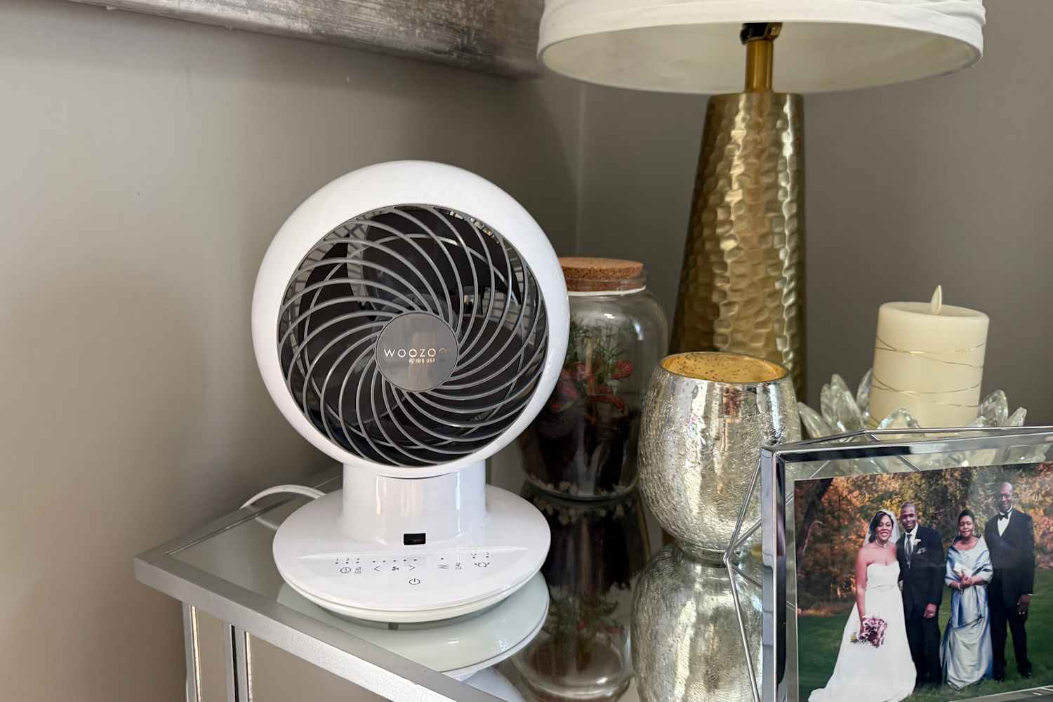 Why the Woozoo Globe Fan from Costco Is the Best Buy for Any Room ...