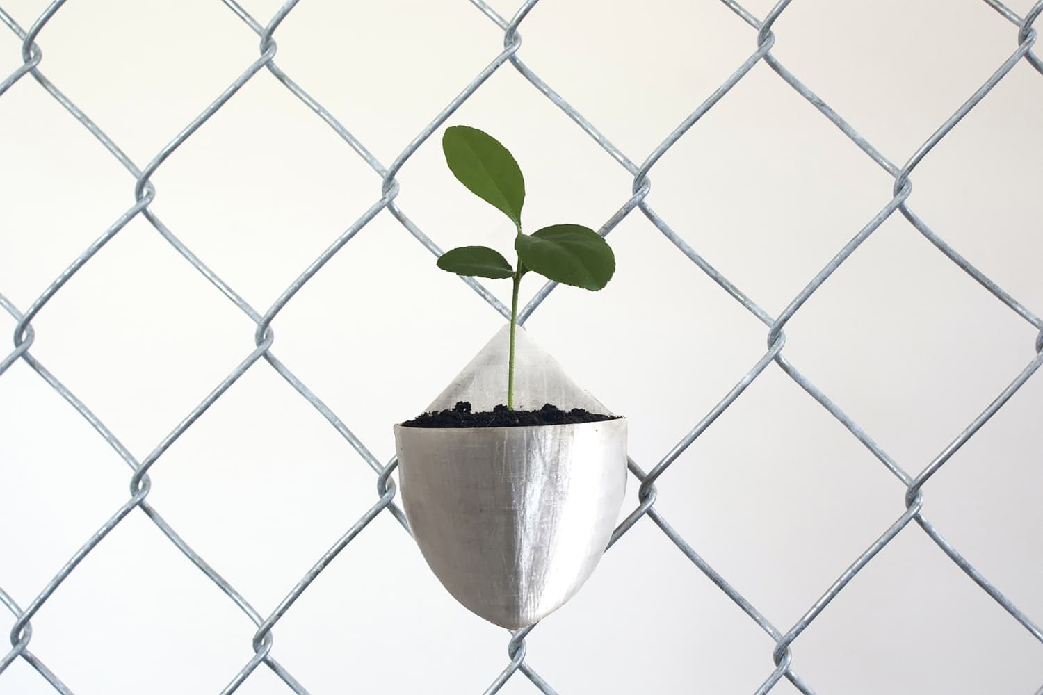 Sead Pods Chain Link Fence Vertical Garden | Apartment Therapy