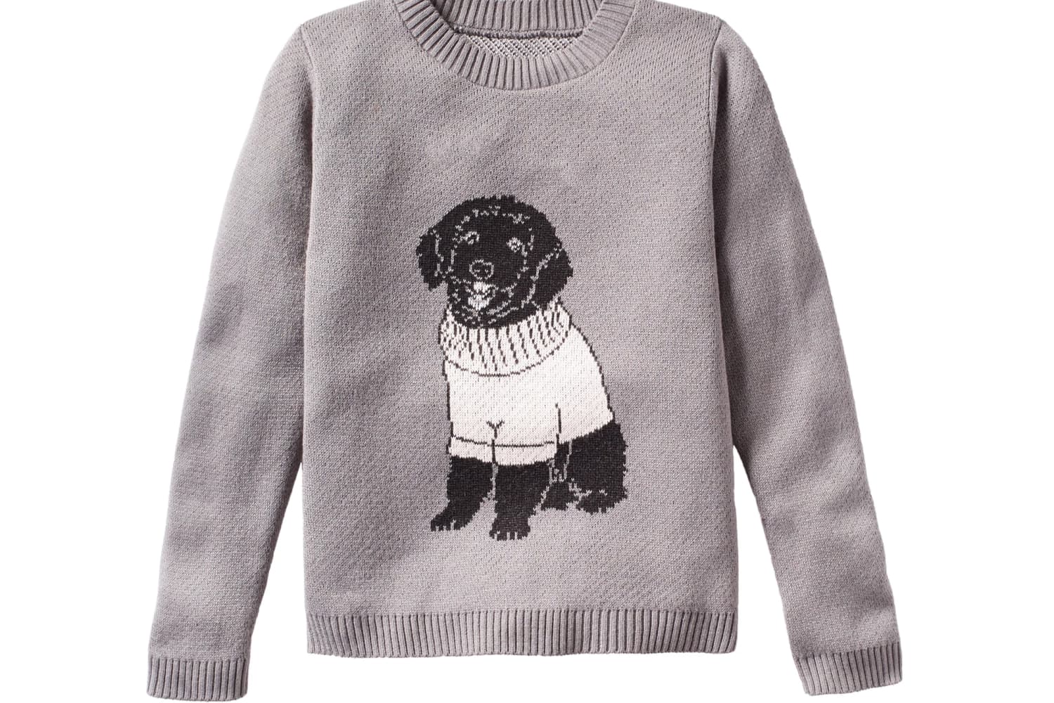 Sweater Hound Custom Dog With Sweater Sweater | Apartment Therapy
