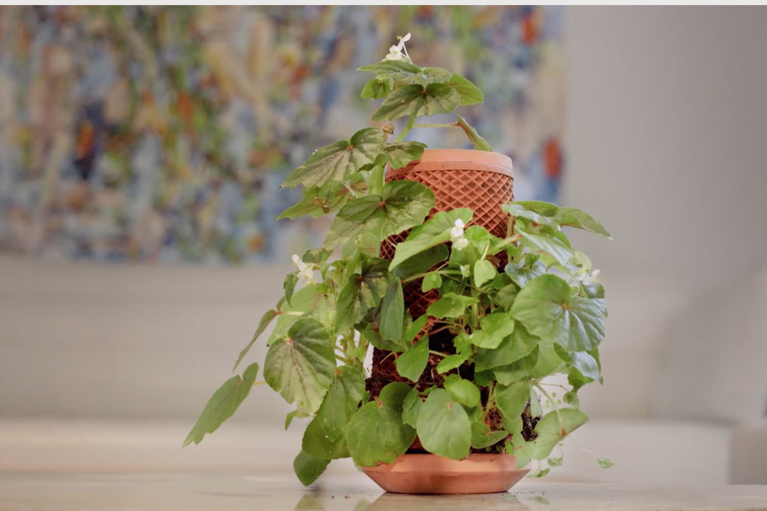 TerraPlanter Hydroponic planter | Apartment Therapy