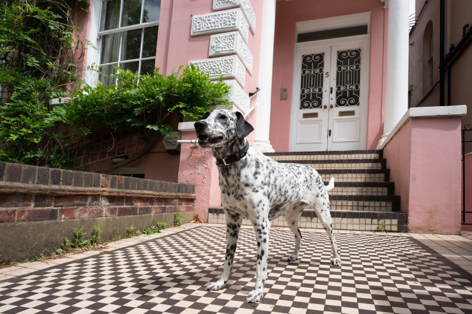 The London Pink House that Inspired '101 Dalmatians' Is For Sale ...