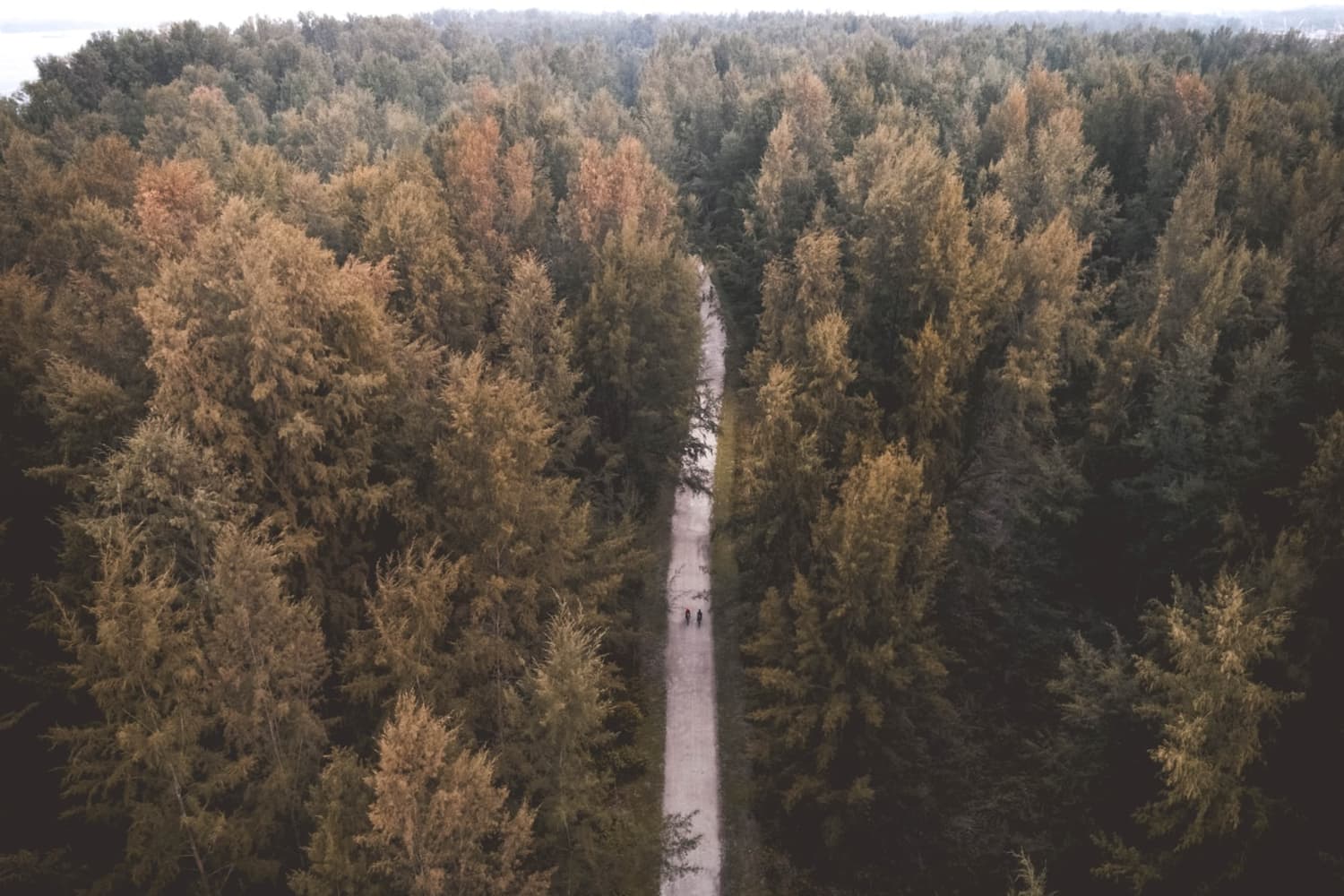 This Playlist Serves Up Sounds From the Most Relaxing Locations in the ...