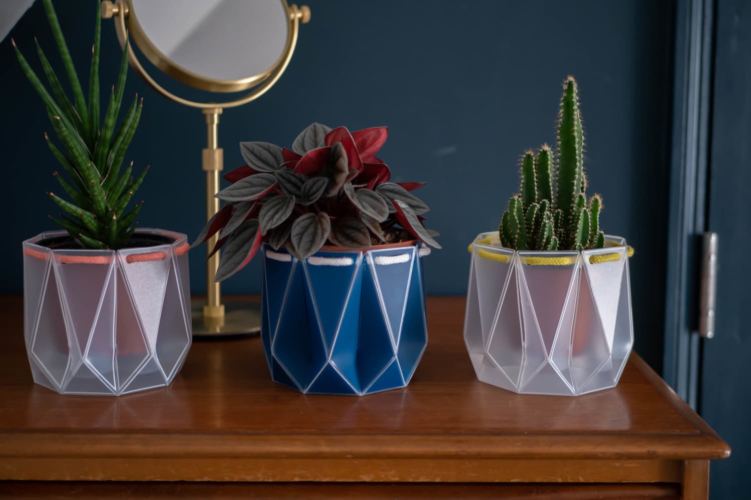 POTR Pots Self-Watering Sustainable Planter | Apartment Therapy