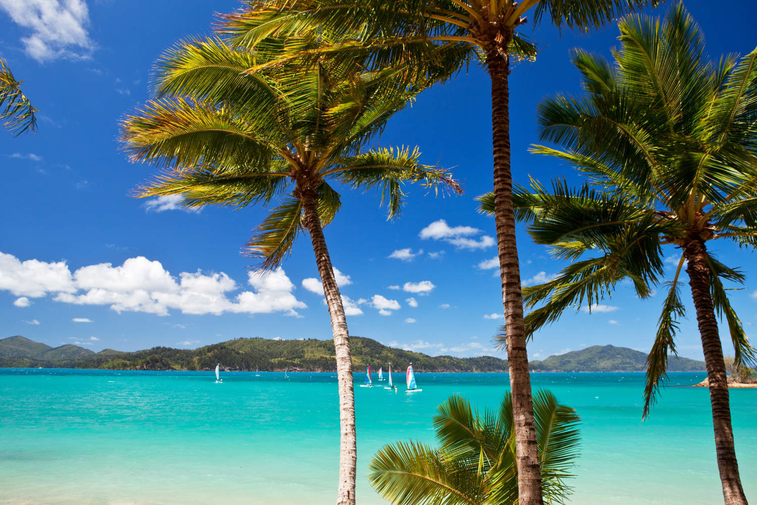 The "Ticket to Paradise" Resort | Apartment Therapy