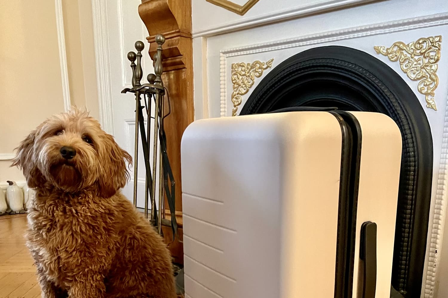 Quince Carry-On Hard-Shell Suitcase Review 2024 | Apartment Therapy