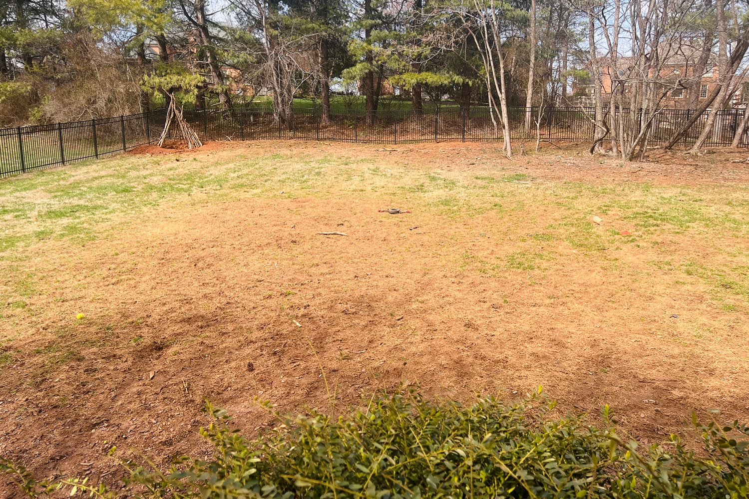 Re-Sodding the Backyard Has a Huge ROI | Apartment Therapy