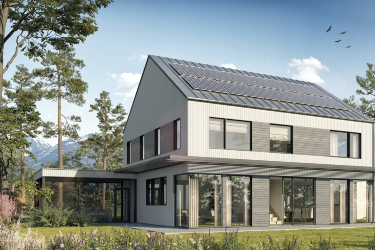 Plant Prefab Launches First Passive Homes With Richard Pedranti ...