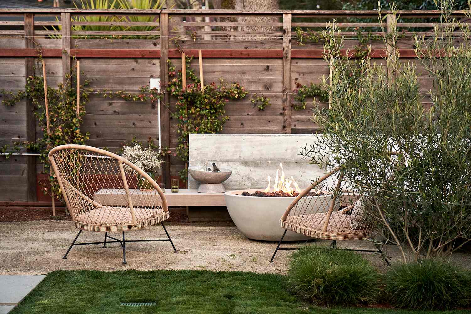 Why Americans Are Ditching Lawns and Firepits, According to New Data ...