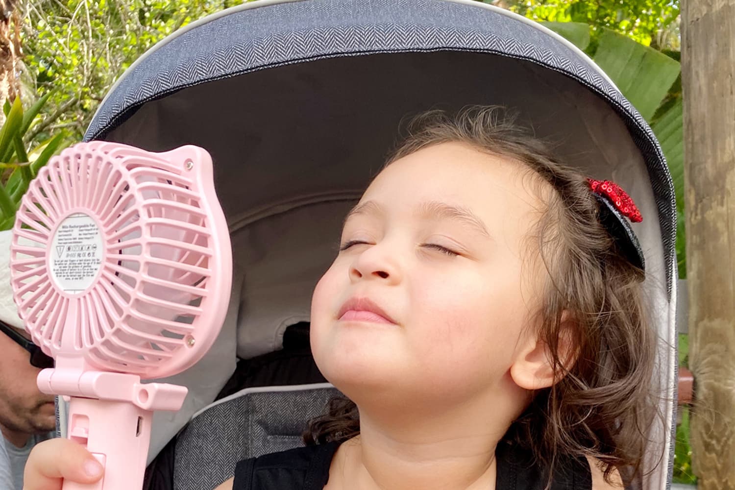 The $15 Amazon Must-Have My Kids Won’t Go Anywhere Without | Cubby