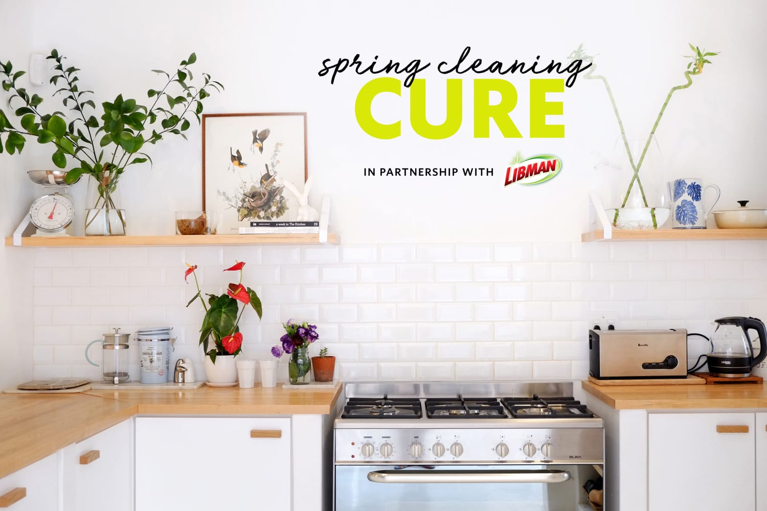 Create Your Own Free Workbook And Give Your Home Its Deepest Spring ...