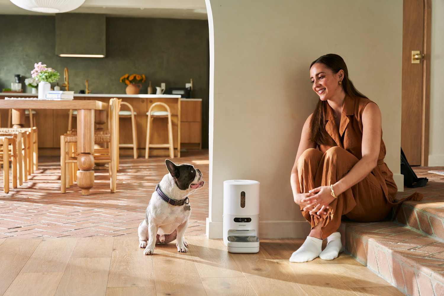 This Automatic Feeder Is the Best Item a Busy Pet Parent Can Buy ...