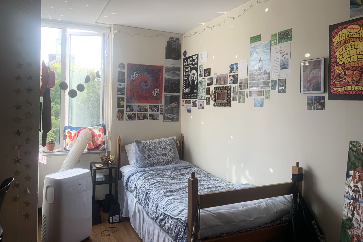 This Harvard Senior's Single Dorm Room is Full of Nostalgia | Dorm Therapy