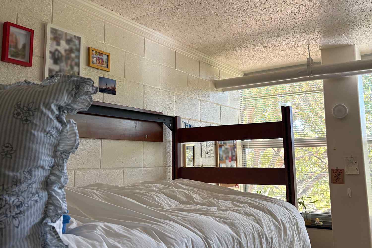 This NC State Freshman’s Boho-Coastal Brightens Her Dorm | Dorm Therapy