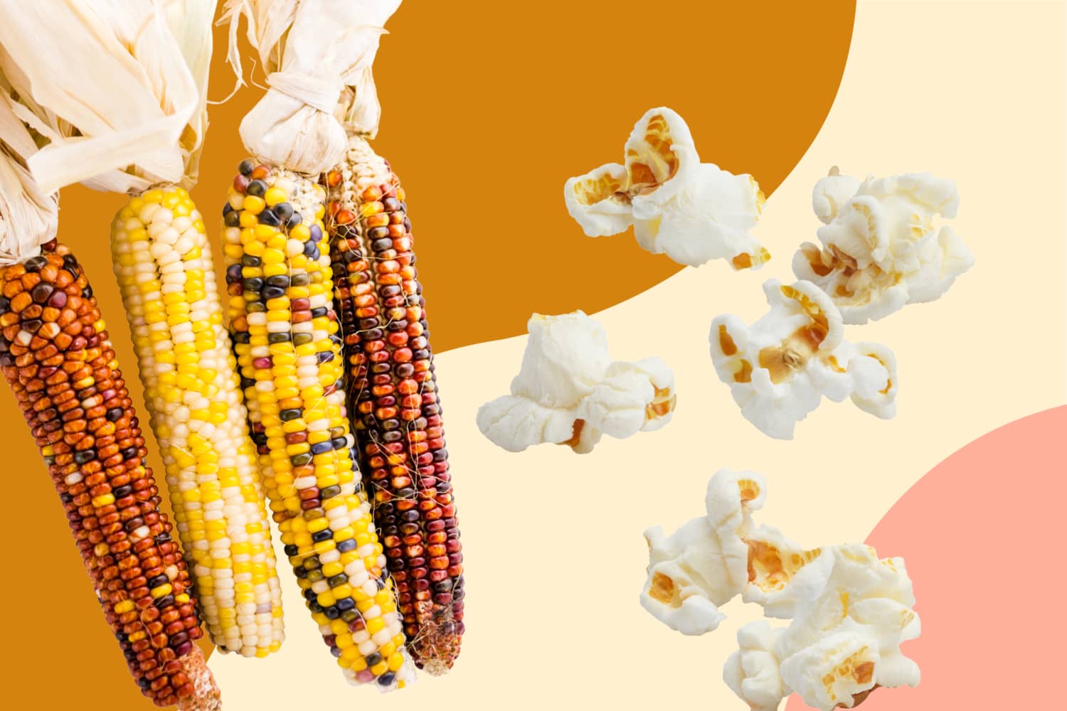 Types of Corn: A Guide to the 3 Main Kinds | The Kitchn