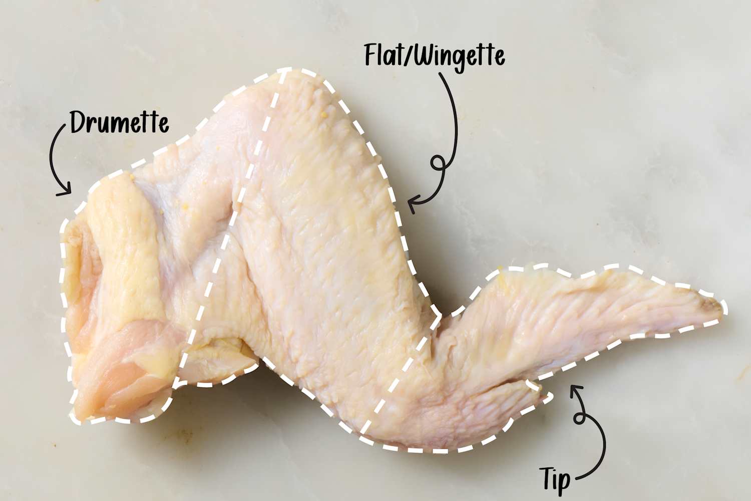 anatomically correct wings