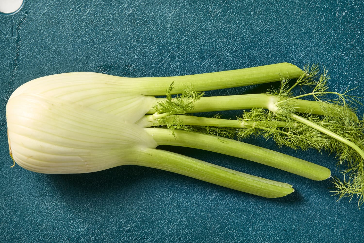 fennel uses