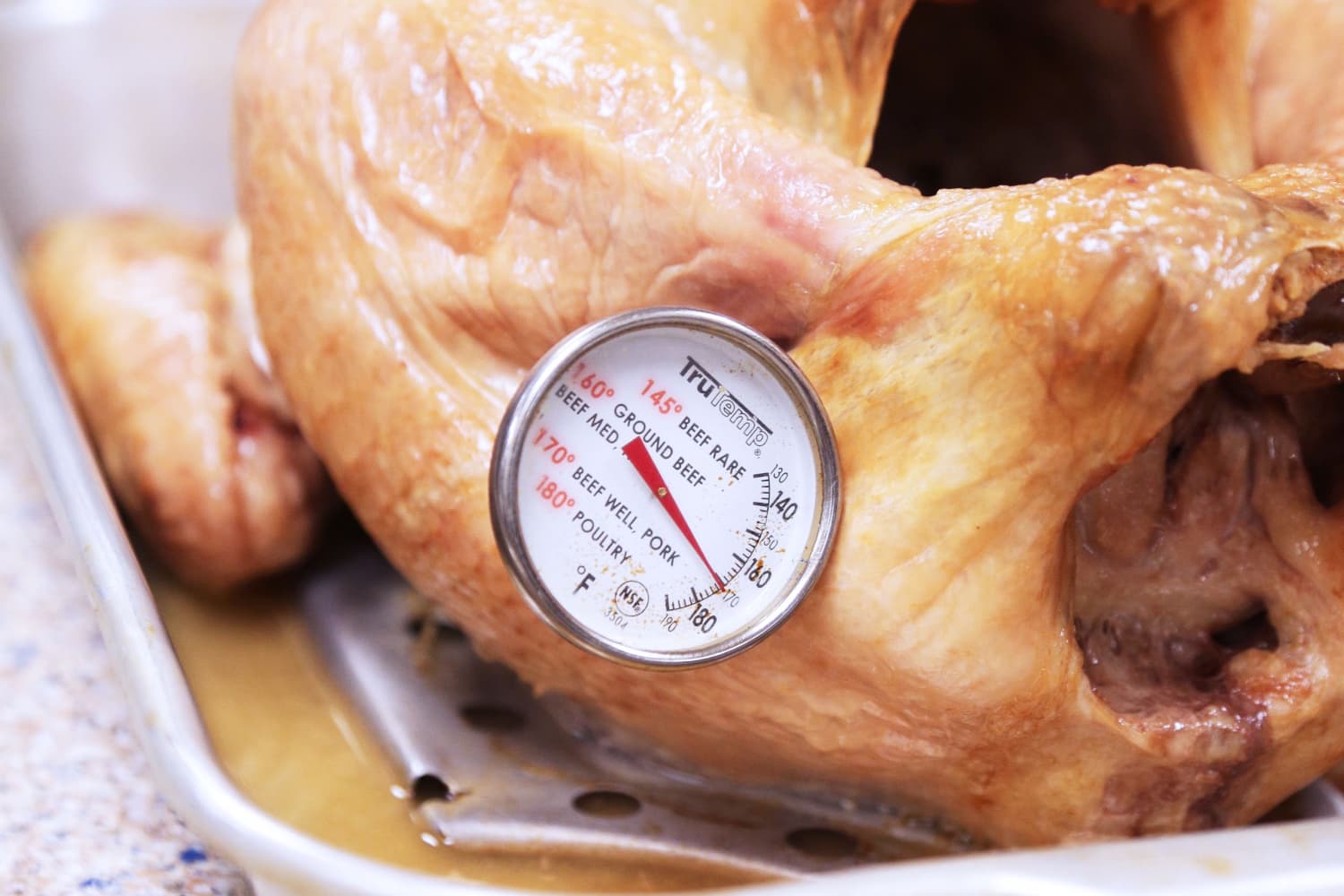 meat thermometer chicken