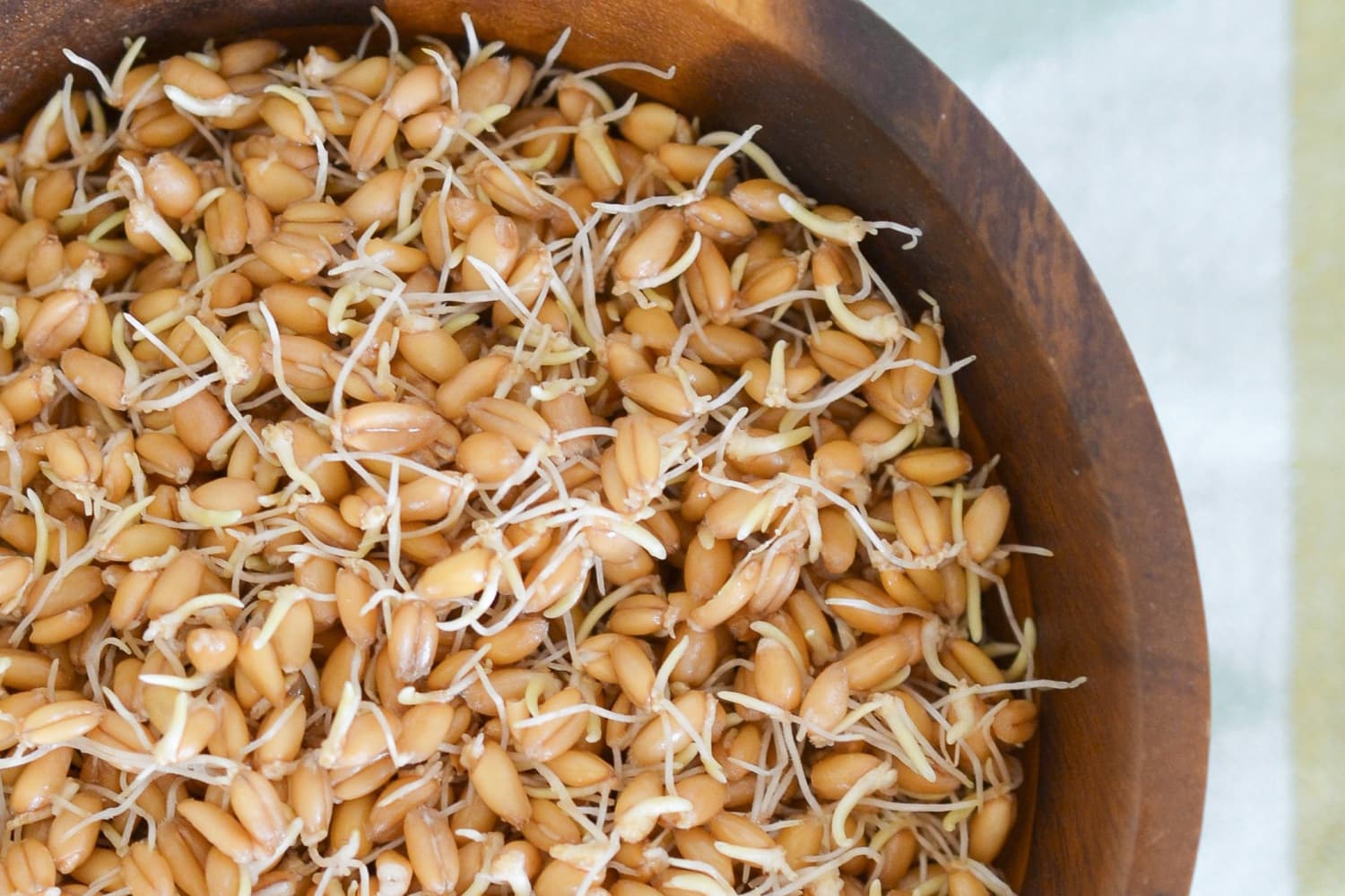 how to cook sprouted millet