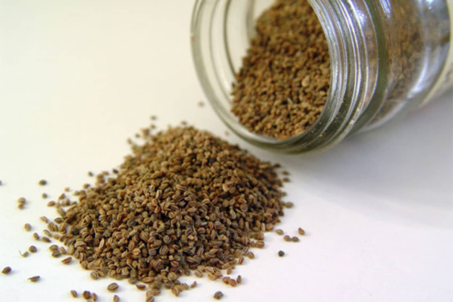 celery seeds
